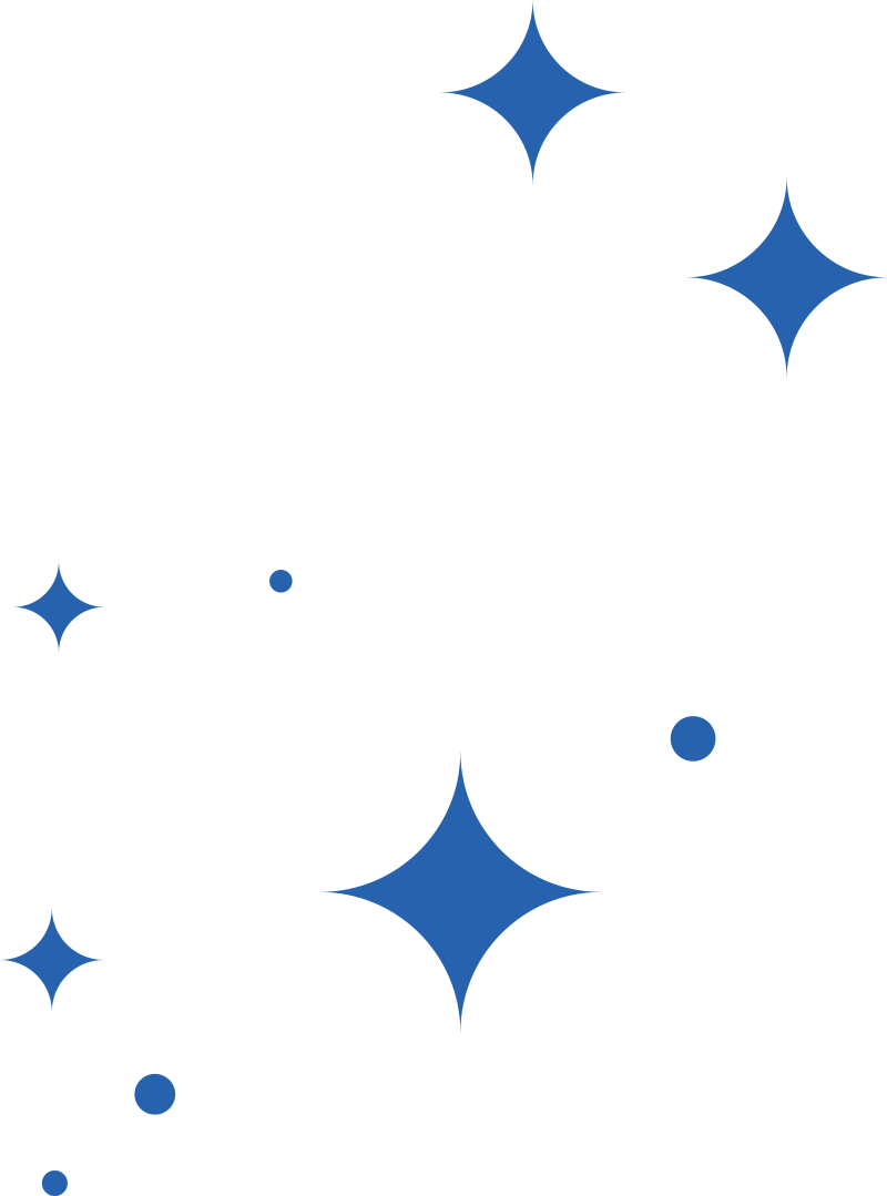 Link Vision – Supporting people with low or no vision